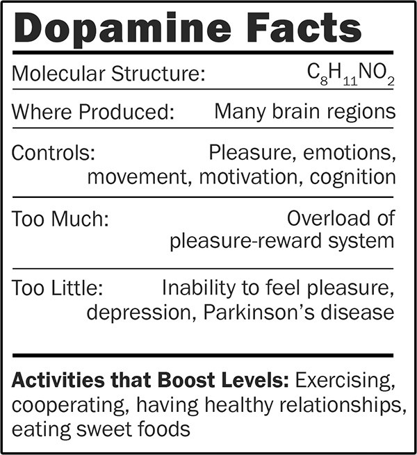 Dopamine; your drive. – My Joy Body